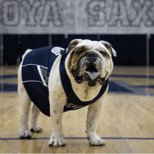 Colleges That Celebrate Bulldogs as Mascots – RESPONSIBLE BULLY ...