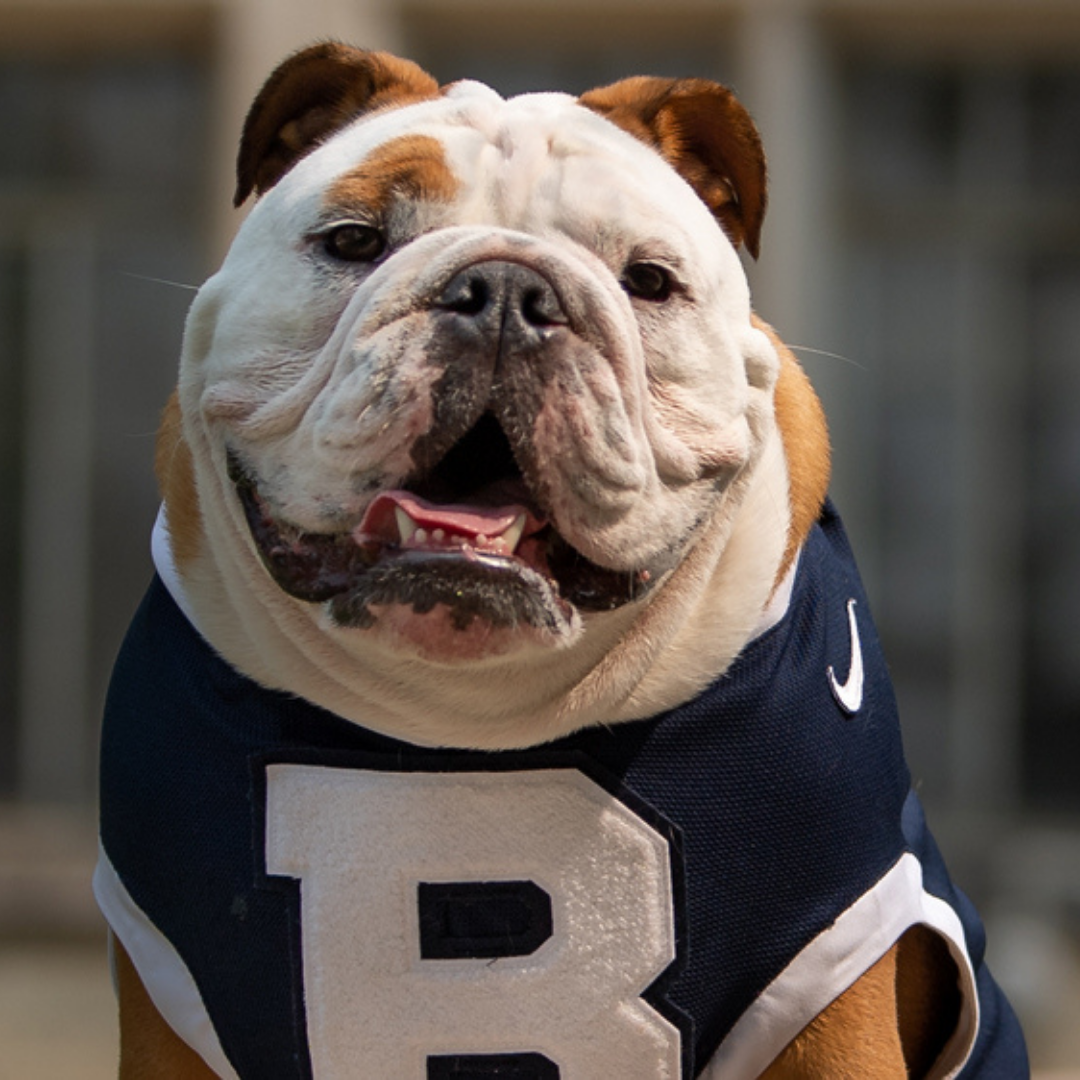 Colleges That Celebrate Bulldogs as Mascots – RESPONSIBLE BULLY ...